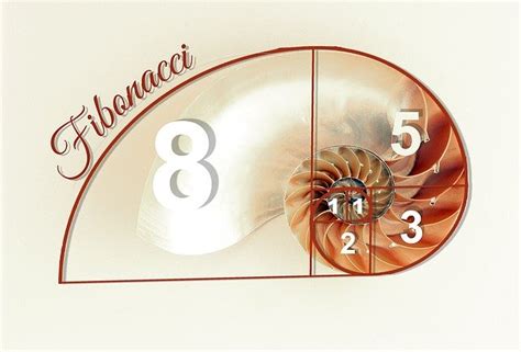Who Invented Numbers How It Evolved In Various Countries