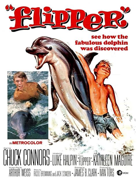 Chuck Connors Flipper