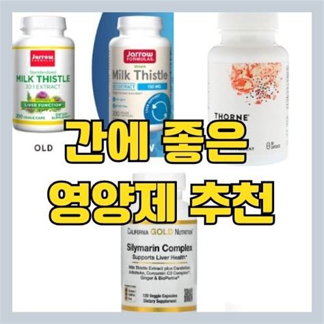 간을 회복 시켜주는 가성비 좋은 간 영양제 추천 간 해독항염증항산화밀크씨슬실리마린 함량 비교 방법