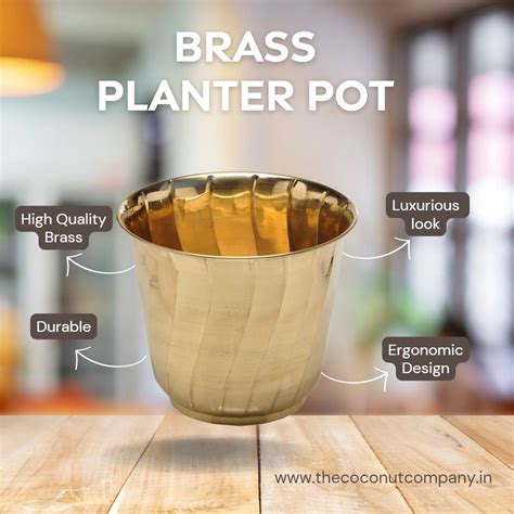 Round Brass Planter Pot Home Decor The Coconut Store