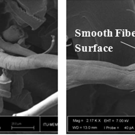 Optical Image Of Delamination Test Sample And Test Setup Download