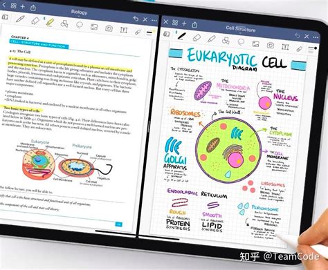2022年，ipad编程竟然还能搞开发？ 知乎