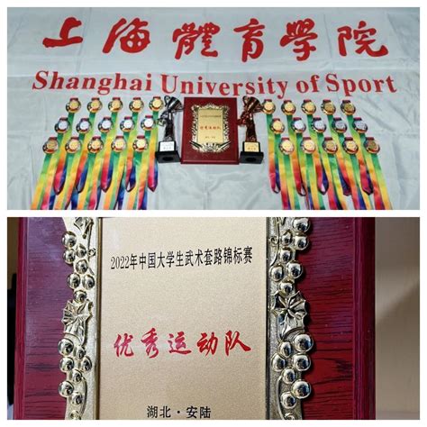 勇夺11金我校武术套路队在2022 年中国大学生武术套路锦标赛再获佳绩 上海体育大学武术学院