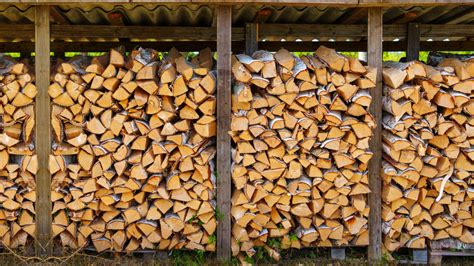 15 Must Have Supplies Every Prepper Needs Beyond Food And Water