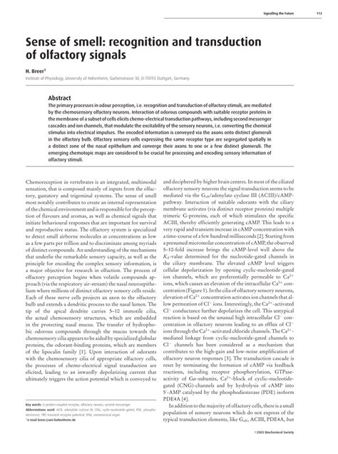 Pdf Sense Of Smell Recognition And Transduction Of Olfactory Signals