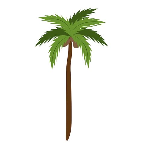 Premium Vector Coconut Palm Tree Isolated On White Background Beautiful Simple Vector Palm Tree