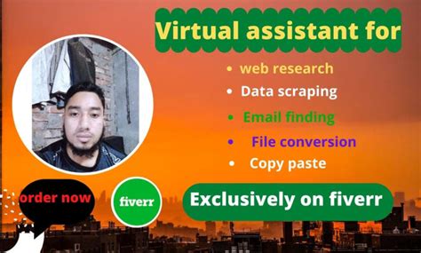 Be Your Virtual Assistant For Web Research Data Mining By Amdadul852