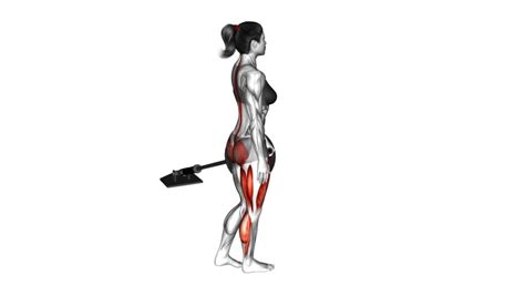 Landmine Single Leg Romanian Deadlift Female Video Guide And Tips