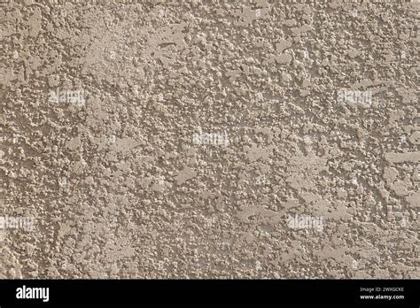 Rough Texture Plaster Wall Beige Color Solid Pattern Background Stucco