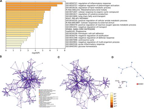 Pathway And Process Enrichment Analysis A Bar Graph Of Enriched Terms Download Scientific