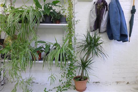 Davis Landscape Architecture Landscape Architects Job Description