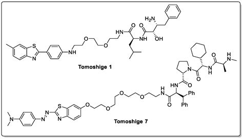 Biomolecules Free Full Text Central Nervous System Targeted Protein