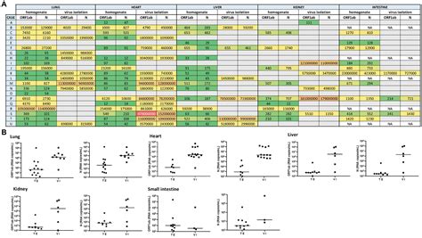 Frontiers Viable SARS CoV 2 Omicron Sub Variants Isolated From