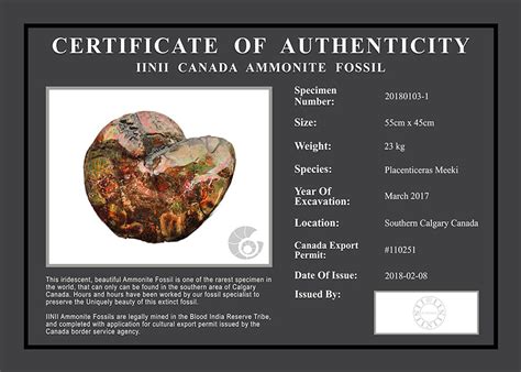 20180103 1 Fossil Iinii Canada