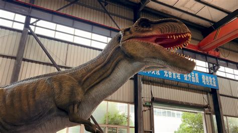 Gecai Amusement Park 3d Life Size Robotic Big Dinosaur Models