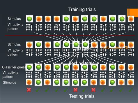 Ppt How To Do Multivariate Pattern Analysis Powerpoint Presentation