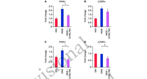 Effect Of Estrogen On The Mrna Expression Of Transcription Factors