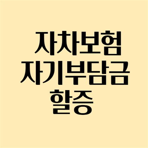 자차보험자기부담금할증