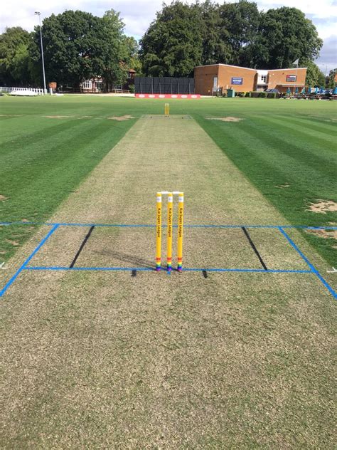 Stumps Object Detection Dataset By Pitch Detection