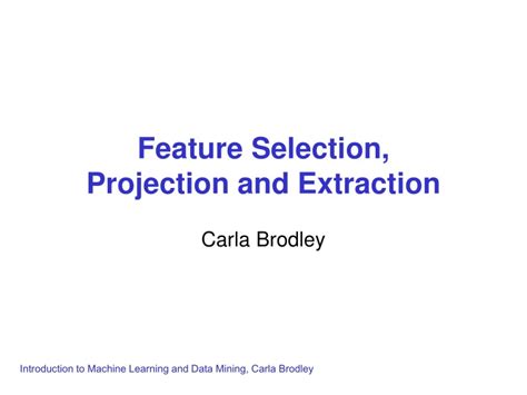Ppt Feature Selection Projection And Extraction Powerpoint