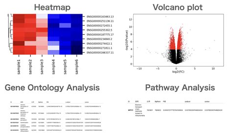 RNA Seq Data Analysis Software