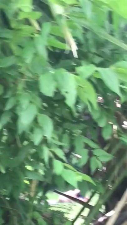 Outdoor Outdoor Tube And Outdoor Cfnm Porn Video 04 Xhamster