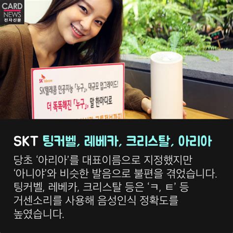 카드뉴스 Ai 음성 비서 너의 이름은 전자신문