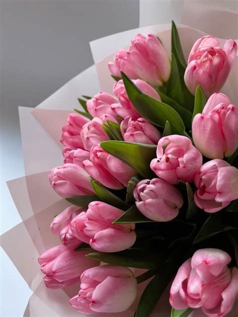 Tulips Bouquet Wallpaper Pink Tulips With Notebook Tulip Bouquet