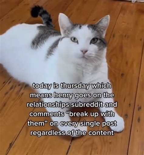 Spit On Your Hand And Stroke My Cock At An Mediu On Twitter Rt Shootacat