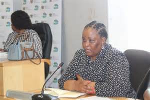 Ad Hoc Committee To Probe Ramotshere Moiloa Council Turmoil In Zeerust Ofm