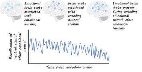 awake memory consolidation can bias the way new information is