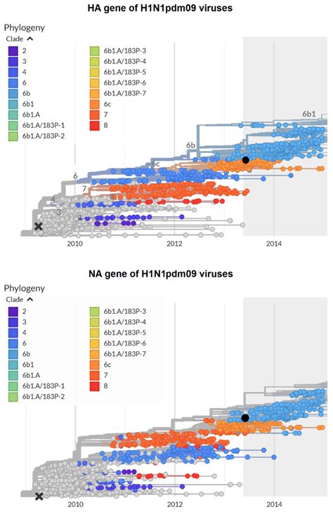 Phylogenetic Trees Of Hemagglutinin Upper Panel And Neuraminidase