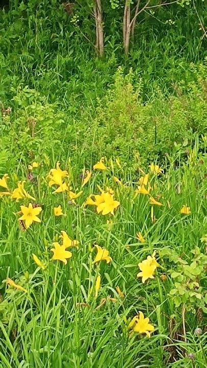 девочкам для души Youtube