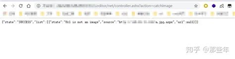 UEditor Net版本任意文件上传漏洞复现总结 知乎