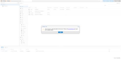 proxmox virtual environment 安装及优化实践 pve8 2安装 csdn博客