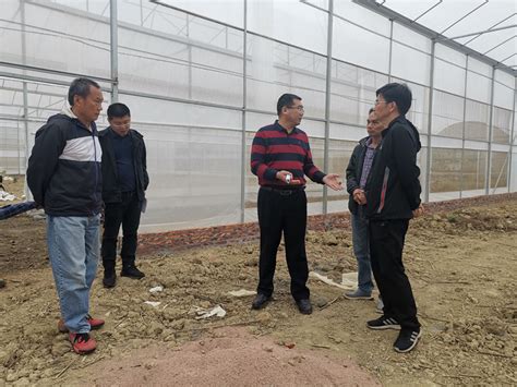 广州实验站 新闻动态 南亚热带作物研究所杜丽清所长一行到广州站共商共建广州研究院基地