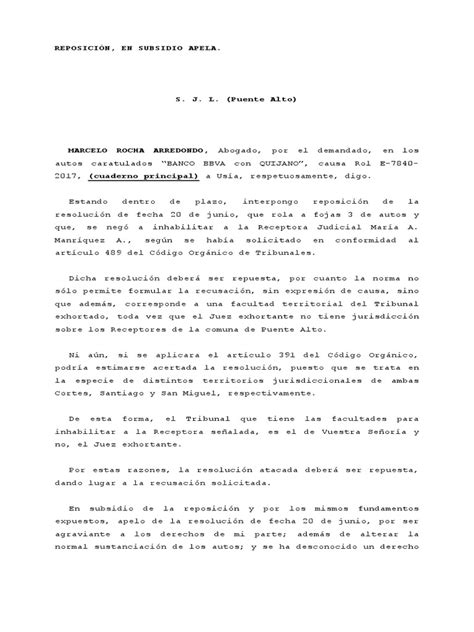 Reposicion Con Apelacion En Subsidio Pdf