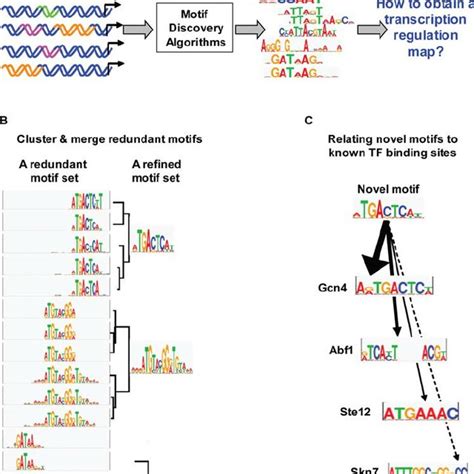 Overview Of The Motif Analysis Pipeline The First Step Of The Pipeline