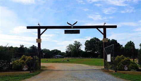 Visiting Lazy 5 Ranch — Thriller Mom