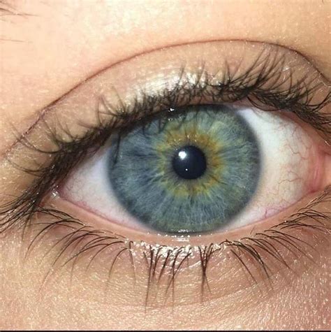 Pin By Leer Ll On Göz Resimleri Eye Album Blue Green Eyes Rare Eye Colors Beautiful Eyes Color