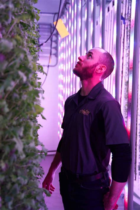 Nearly New 5 Zipgrow™ Tower Zipgrow Inc