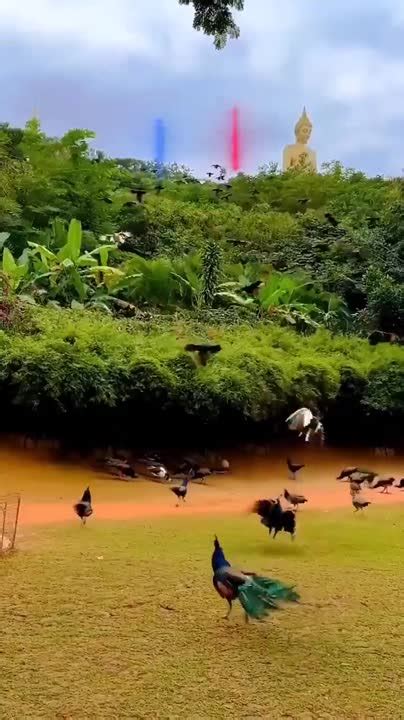 Video Manish V On Linkedin Who Can Speak For The User Better Than The User Unknown