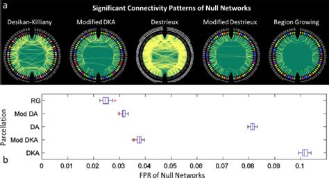 A Significant Connections Of The Null Networks Reconstructed Based On