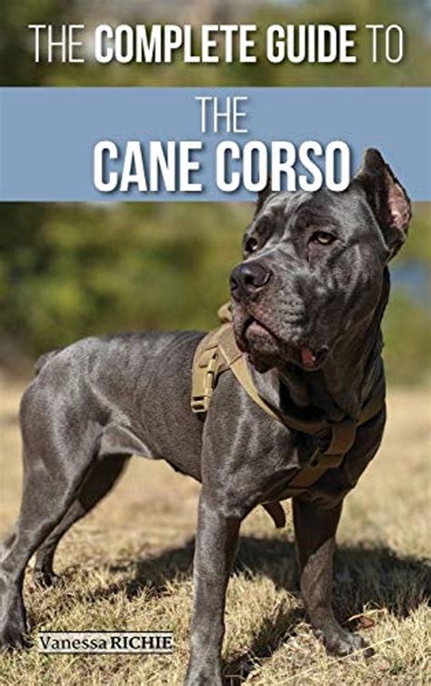 The Complete Guide To The Cane Corso Selecting Raising Training