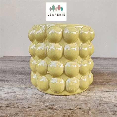 Sorcha Pot The Leaferie