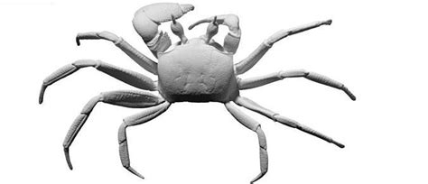 Crab 3d Mesh 3d Model Cgtrader