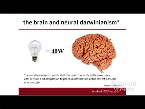 Free Video Stanford Webinar Cultivate Your Creativity From Stanford