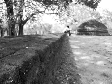 Chico Sri Lanka Exterior Foto Gratis En Pixabay Pixabay