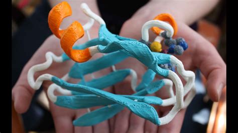 Protein 3d Structure Modeling By Using Homology Modeling For Ug