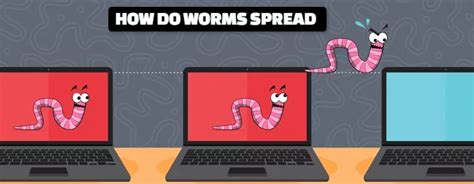 How To Prevent Computer Worms Easy Guide